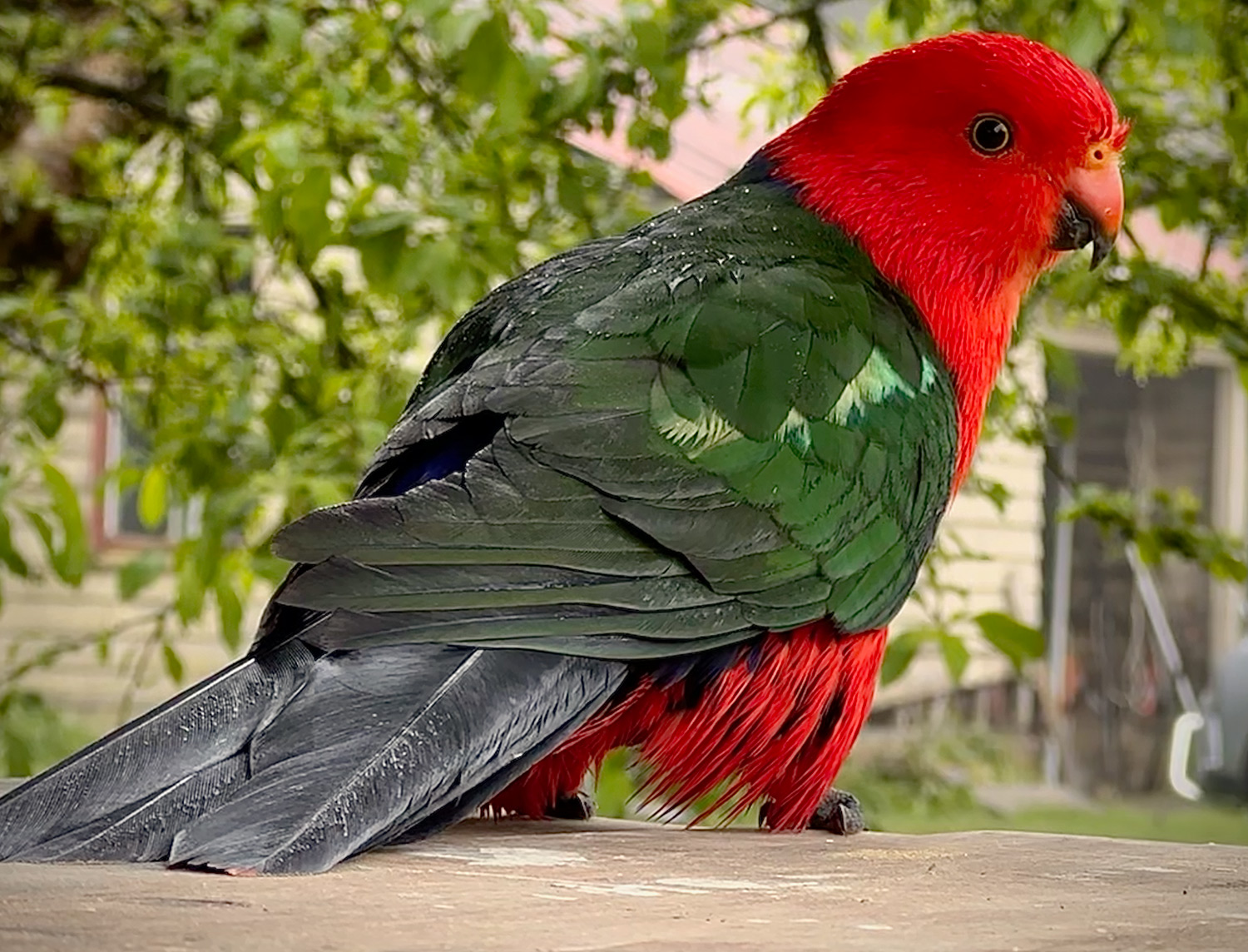 Getting here - Killala Post